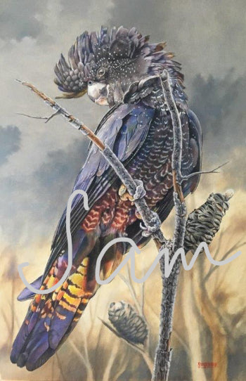 Dark and Stormy - by Sam Pennisi - Limited Edition Print on Canvas – TJ ...